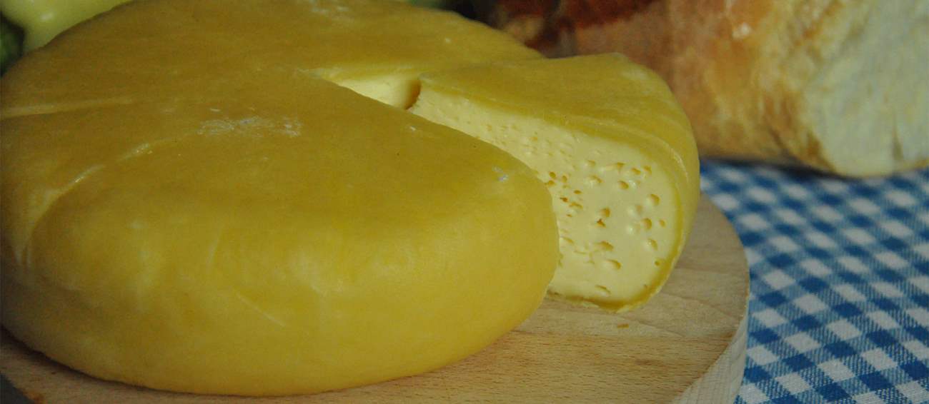 Djath Sharri | Local Cheese From Štrpce, Kosovo