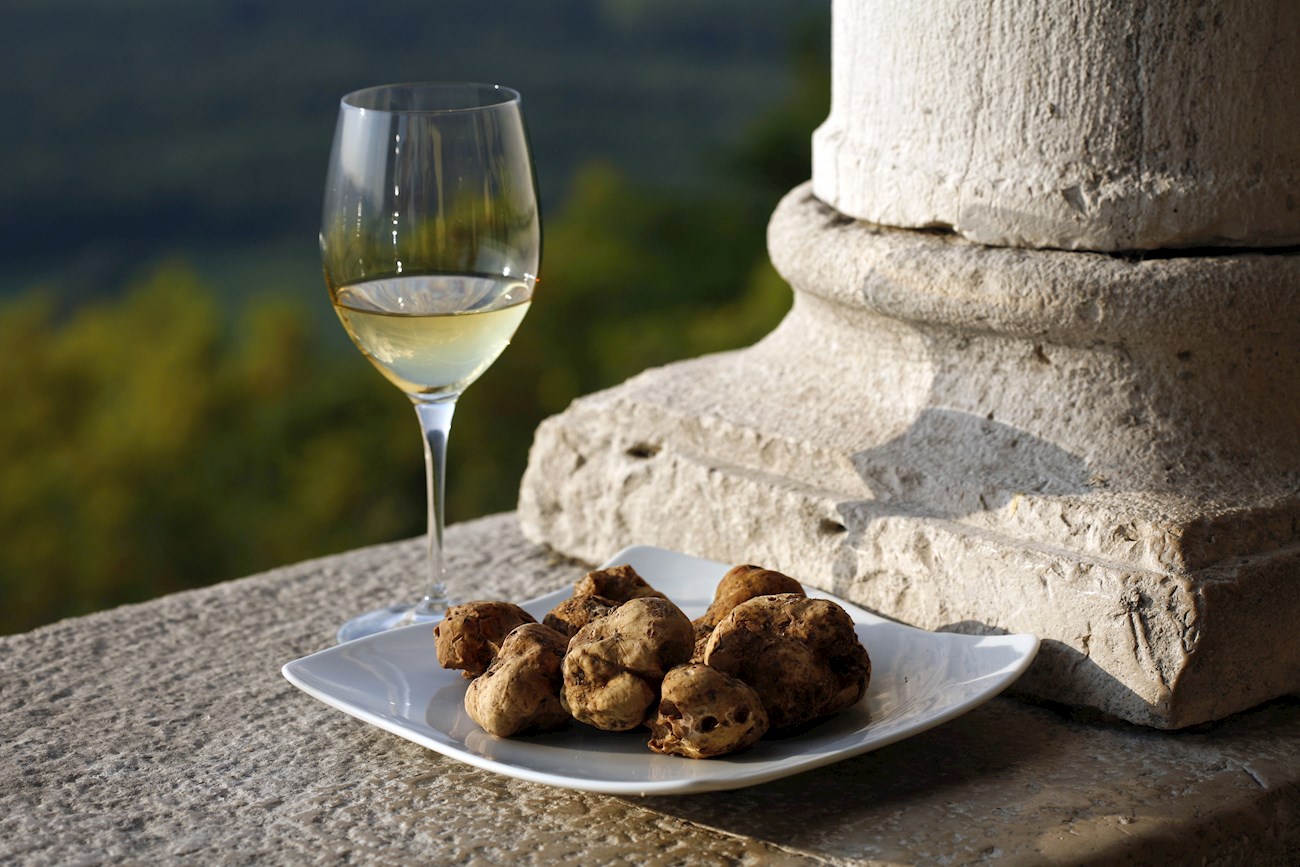 Bijeli Istarski Tartuf | Local White Truffle From Istria, Croatia
