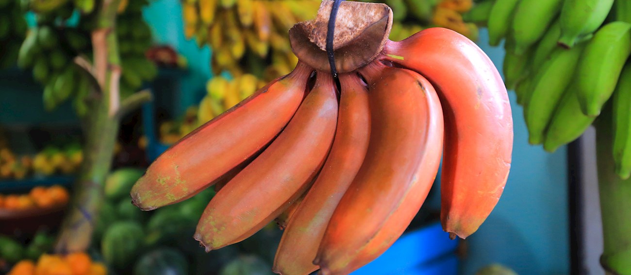 Lal Kela | Local Banana From India