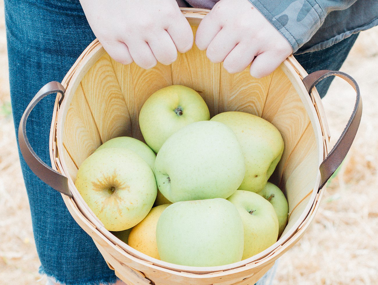 Grimes Golden Apples | Local Apple Variety From Brooke, United States ...