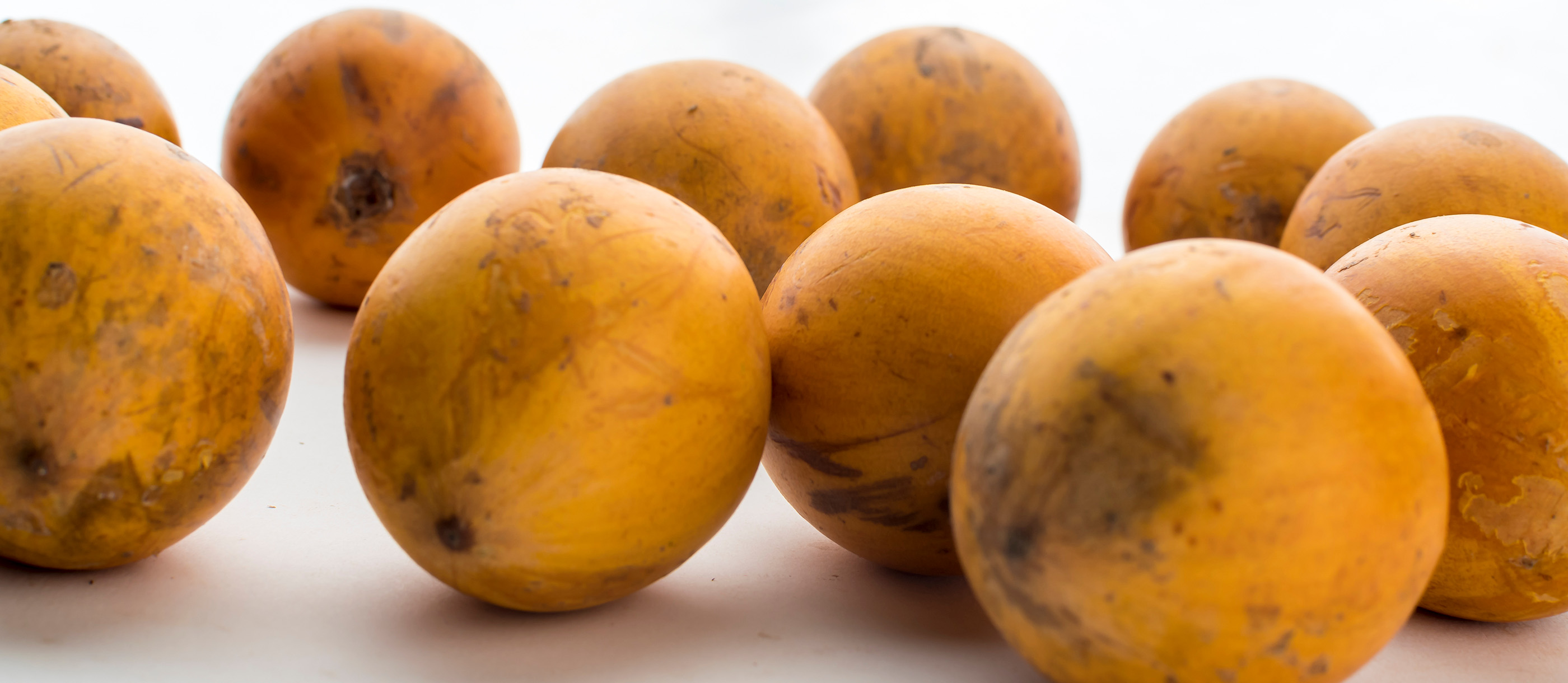 African Star Apple Tree