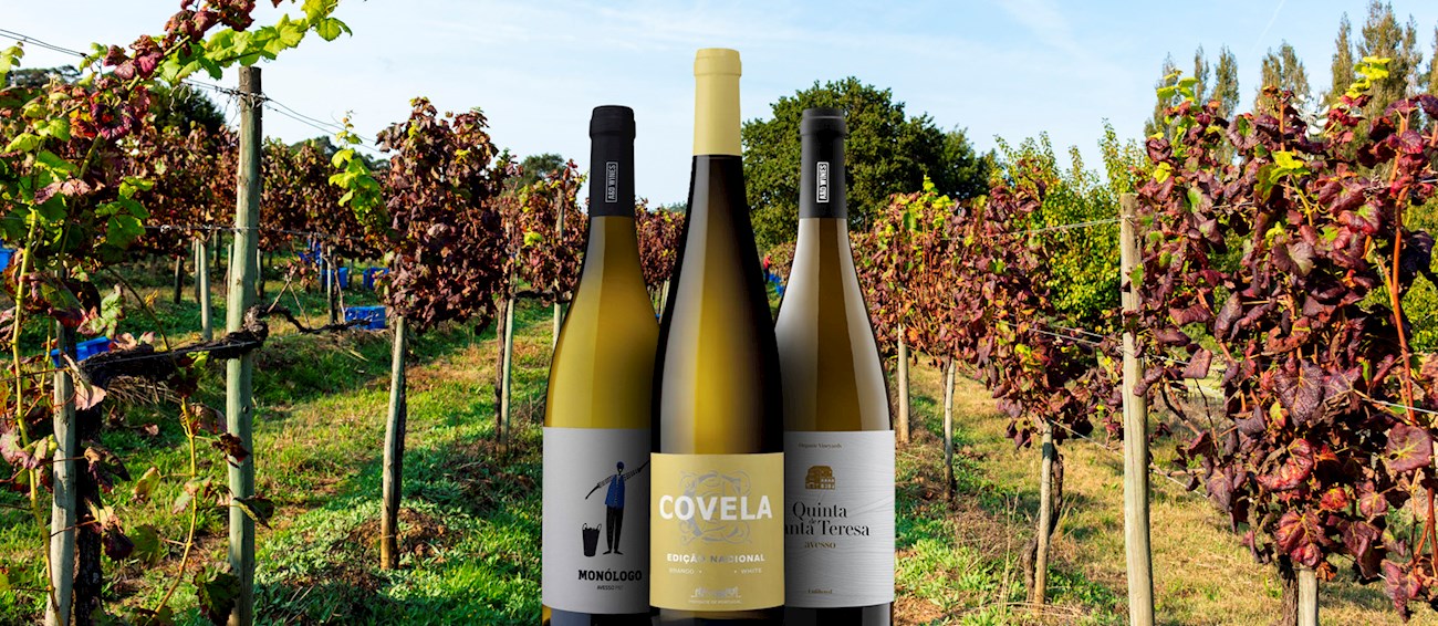 Avesso | Local Wine Variety From Braga District, Portugal