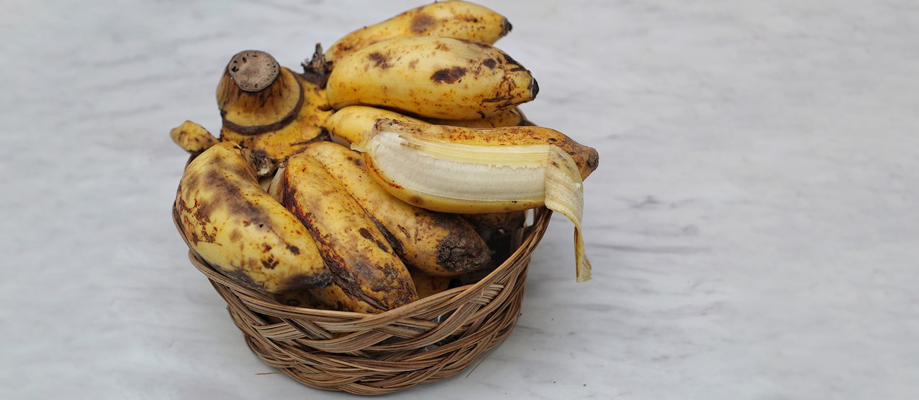 Latundan Banana | Local Banana From Philippines, Southeast Asia