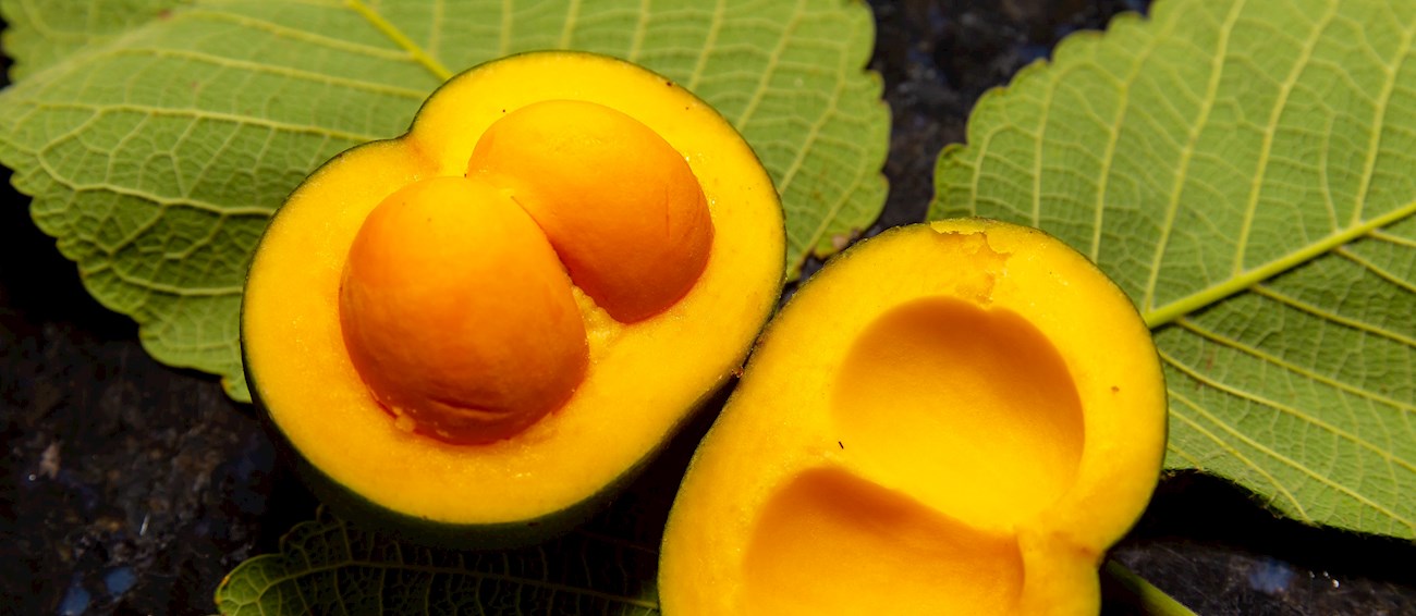 Pequi | Local Tropical Fruit From Central-West Region, Brazil