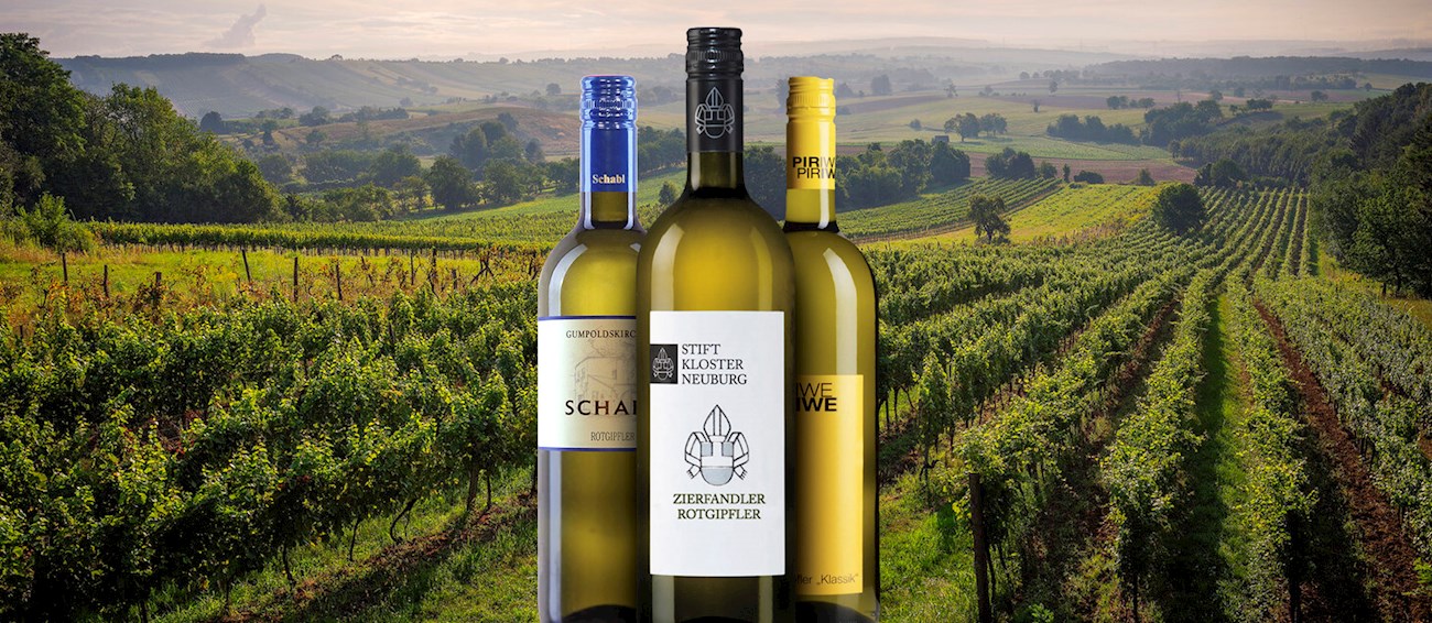 Rotgipfler | Local Wine Variety From Thermenregion, Austria