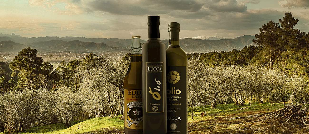 Lucca | Local Olive Oil From Province of Lucca, Italy
