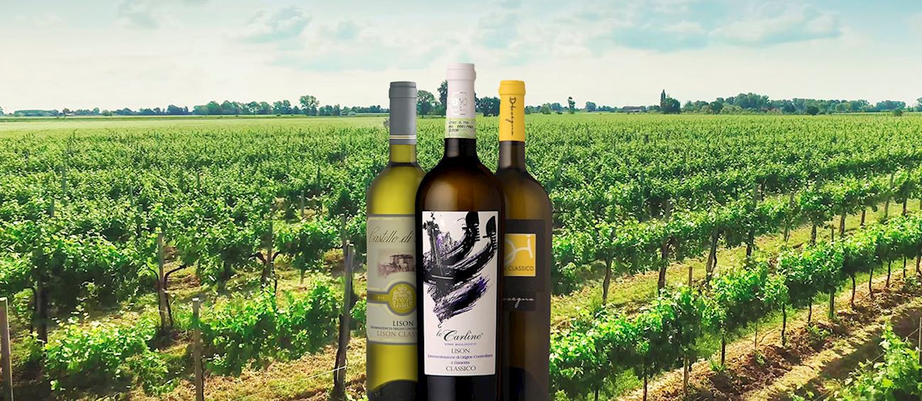 Lison | Local Wine Appellation From Metropolitan City of Venice, Italy