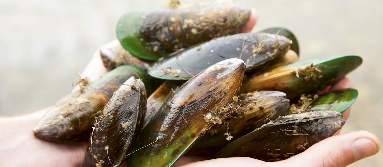 Green-lipped Mussels | Local Mussels From New Zealand