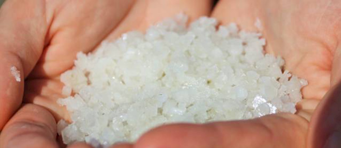 Sel de L'Ile de ré | Local Sea Salt From Île de Ré, France