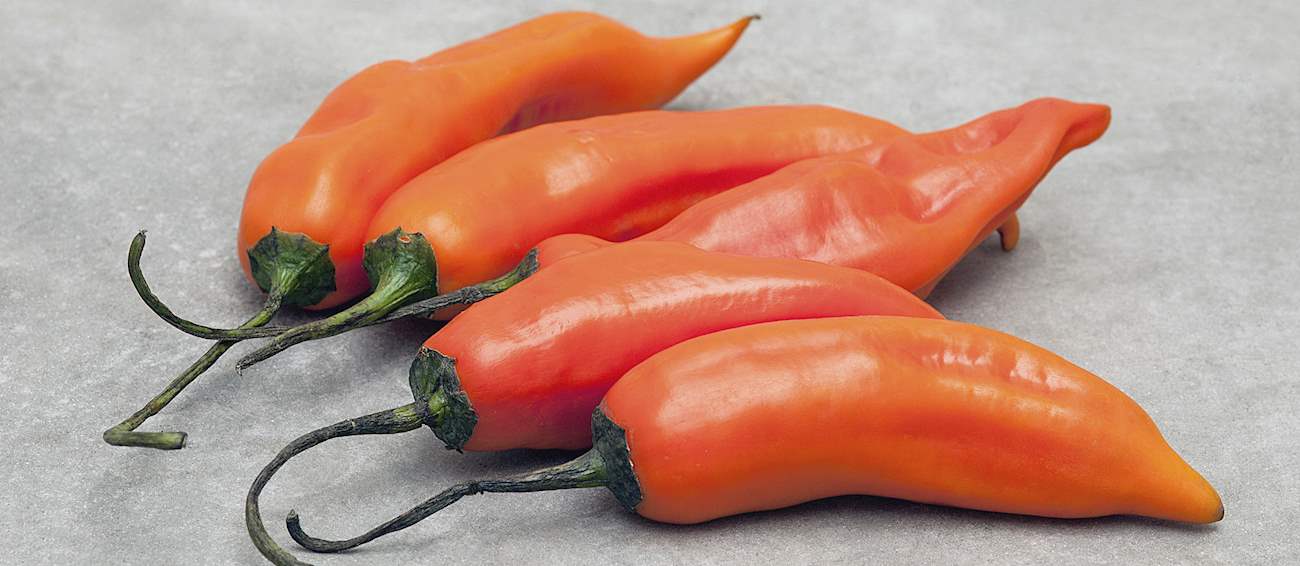 Aji Amarillo | Local Hot Pepper From Peru