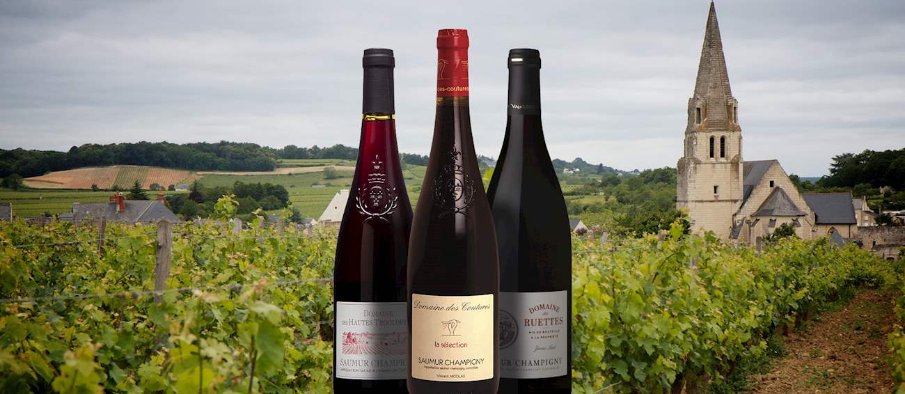 Saumur-Champigny | Local Wine Appellation From Maine-et-Loire, France