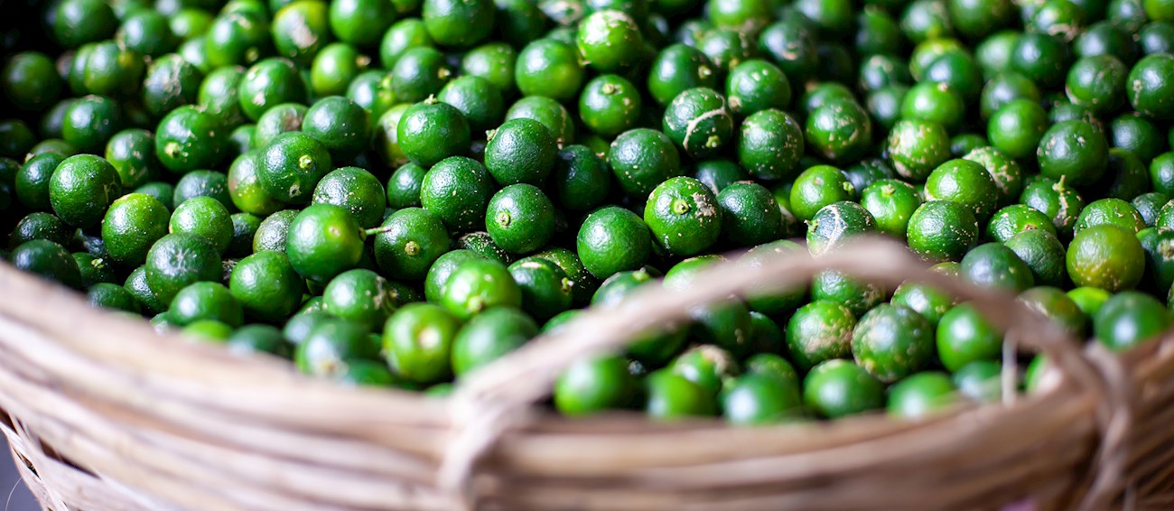 Calamansi | Local Citrus Fruit From Philippines, Southeast Asia