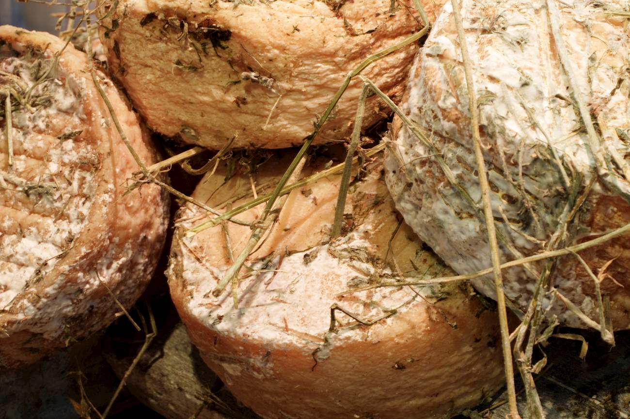 Cacio Faenum | Local Cheese From Castellina, Italy