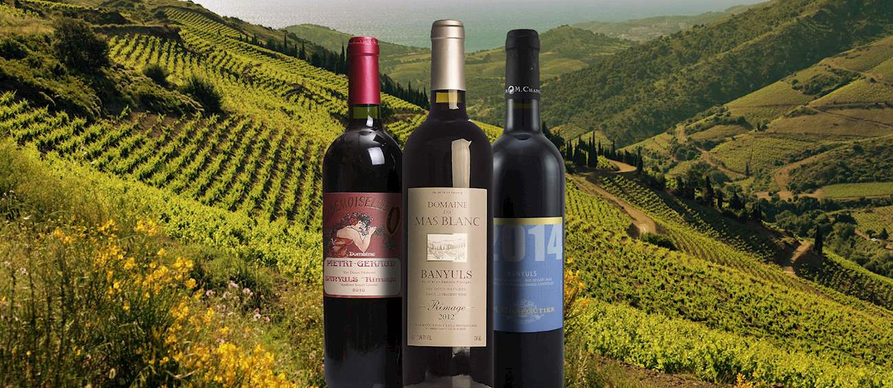 Banyuls | Local Fortified Wine From Pyrénées-Orientales, France