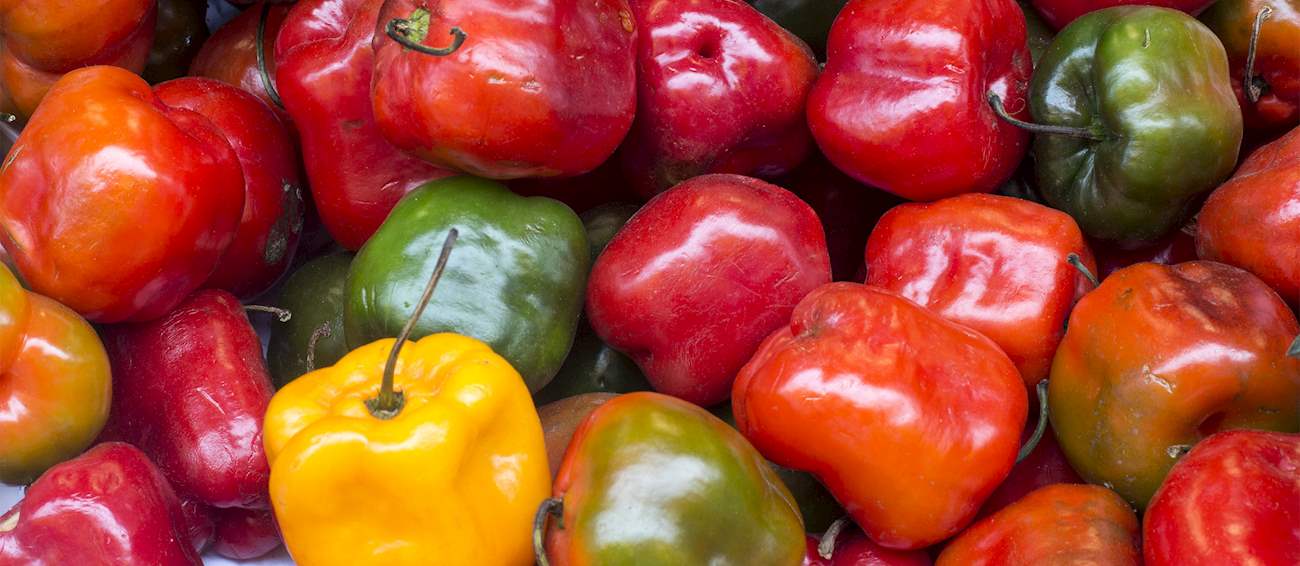 Rocoto Chile | Local Hot Pepper From Peru