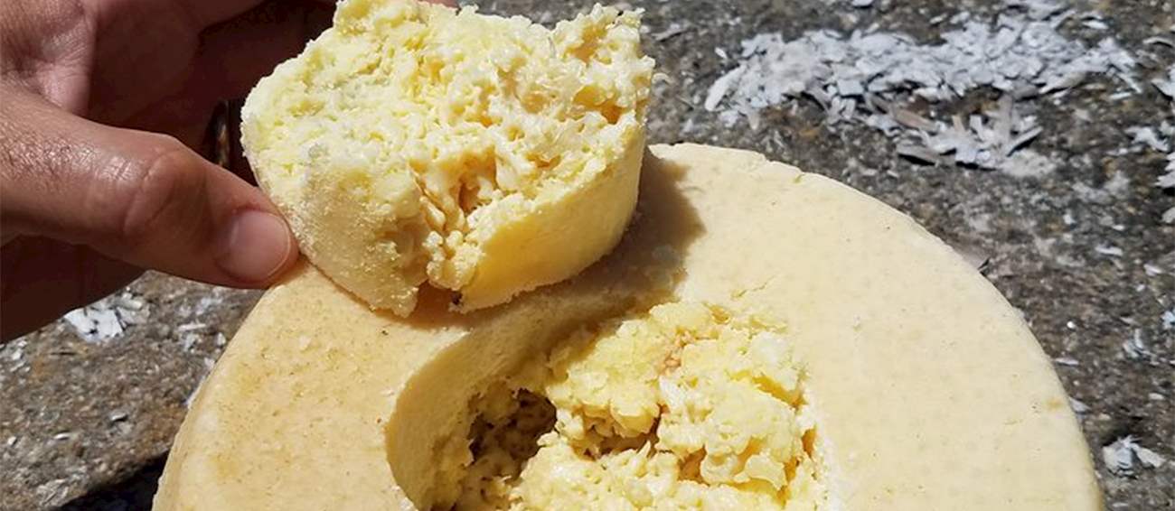 Casu Marzu | Local Cheese From Sardinia, Italy
