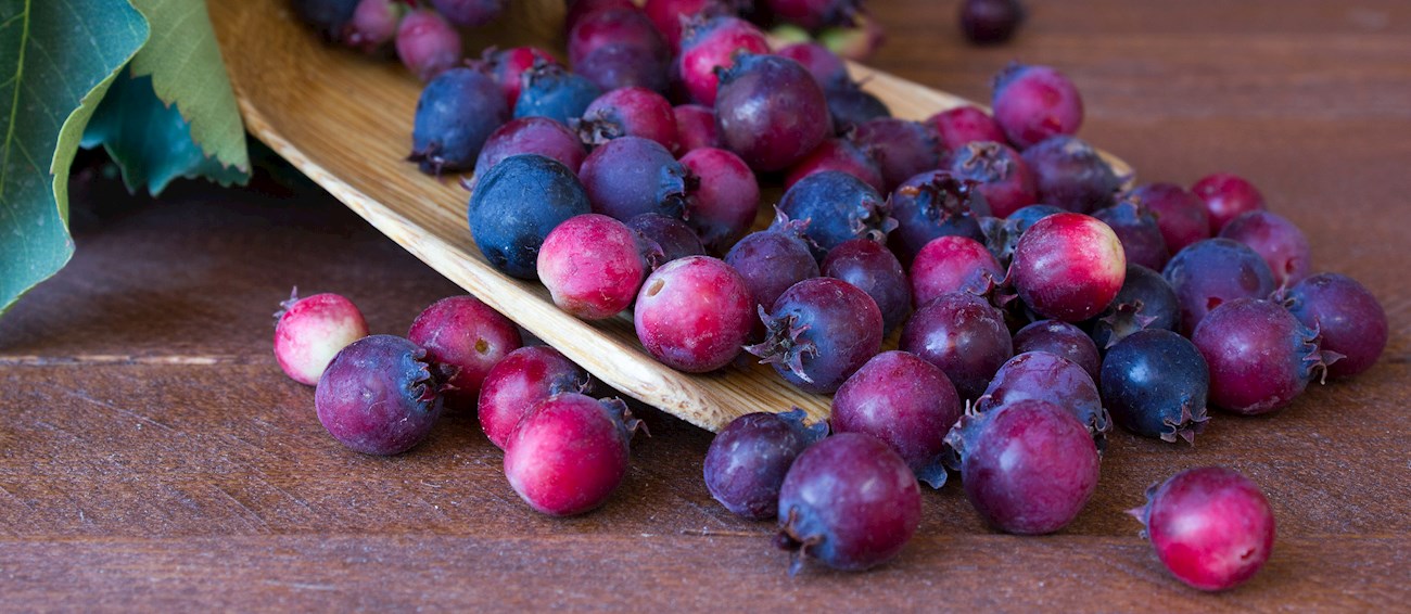Saskatoon Berry | Local Juneberries From British Columbia, Canada