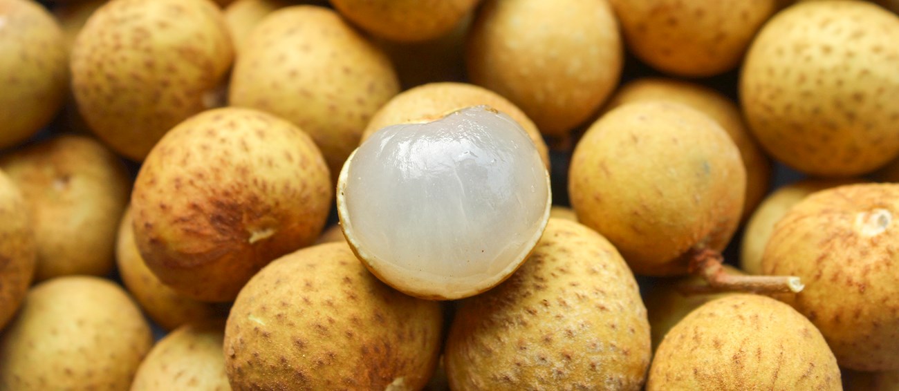 Longan | Local Soapberries From China, East Asia