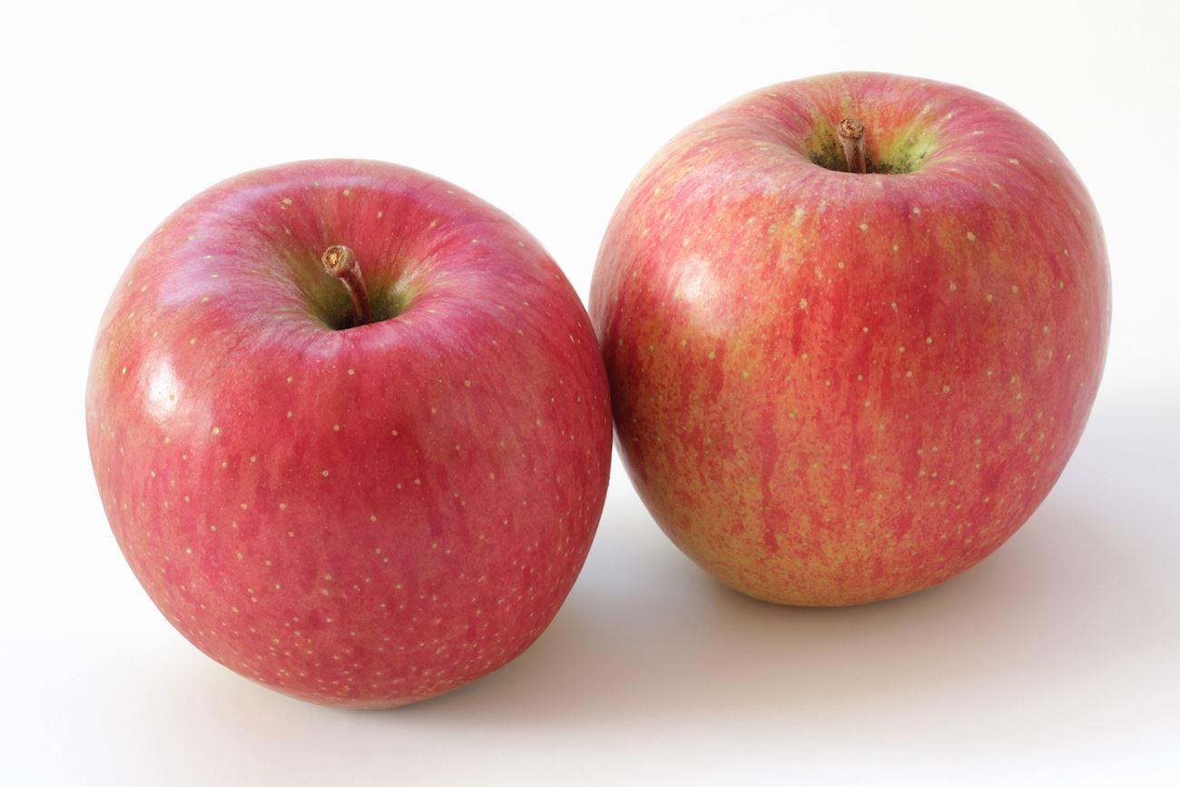 Hokuto Apples | Local Apple Variety From Aomori Prefecture, Japan