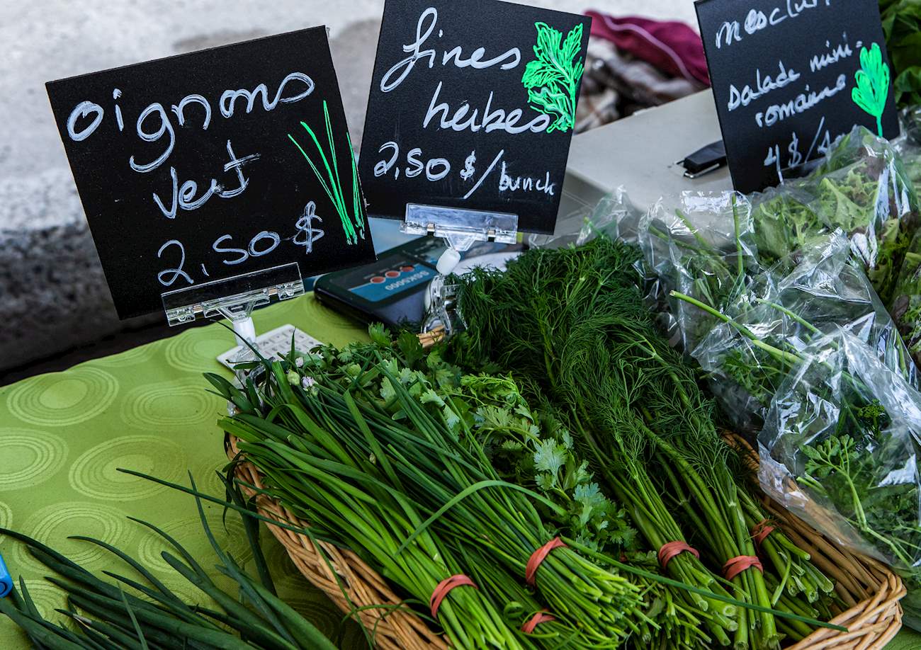 Fines Herbes | Local Herb From France, Western Europe