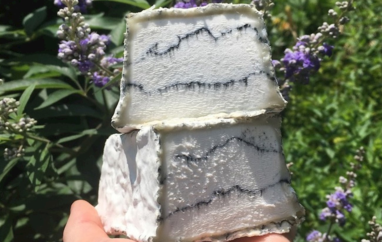 Sofia | Local Cheese From Greenville, United States of America