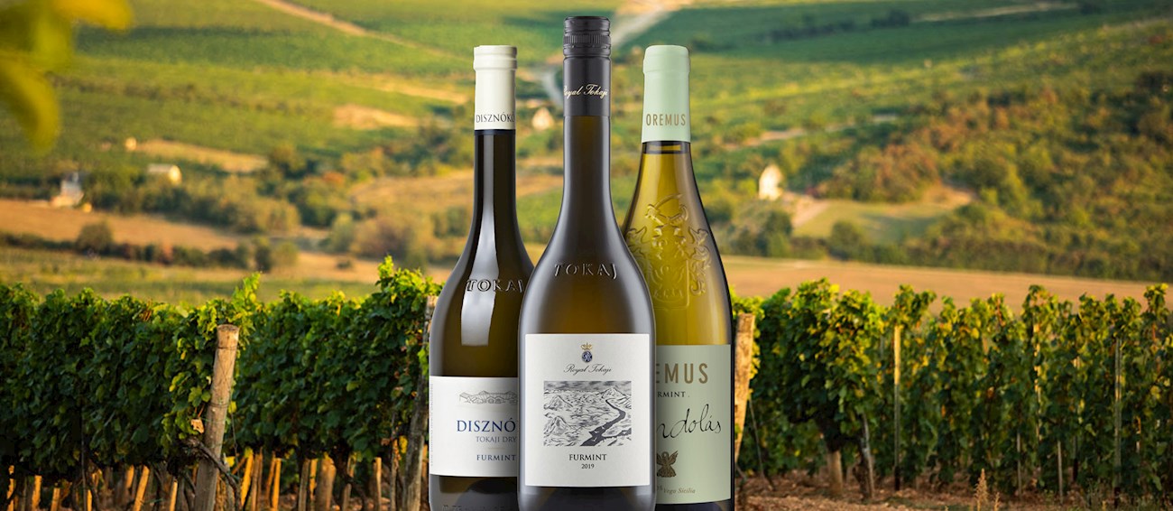 Furmint | Local Wine Variety From Tokaj District, Hungary