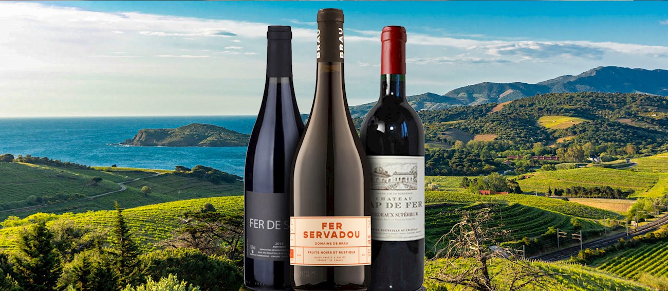 Fer | Local Wine Variety From Occitanie, France