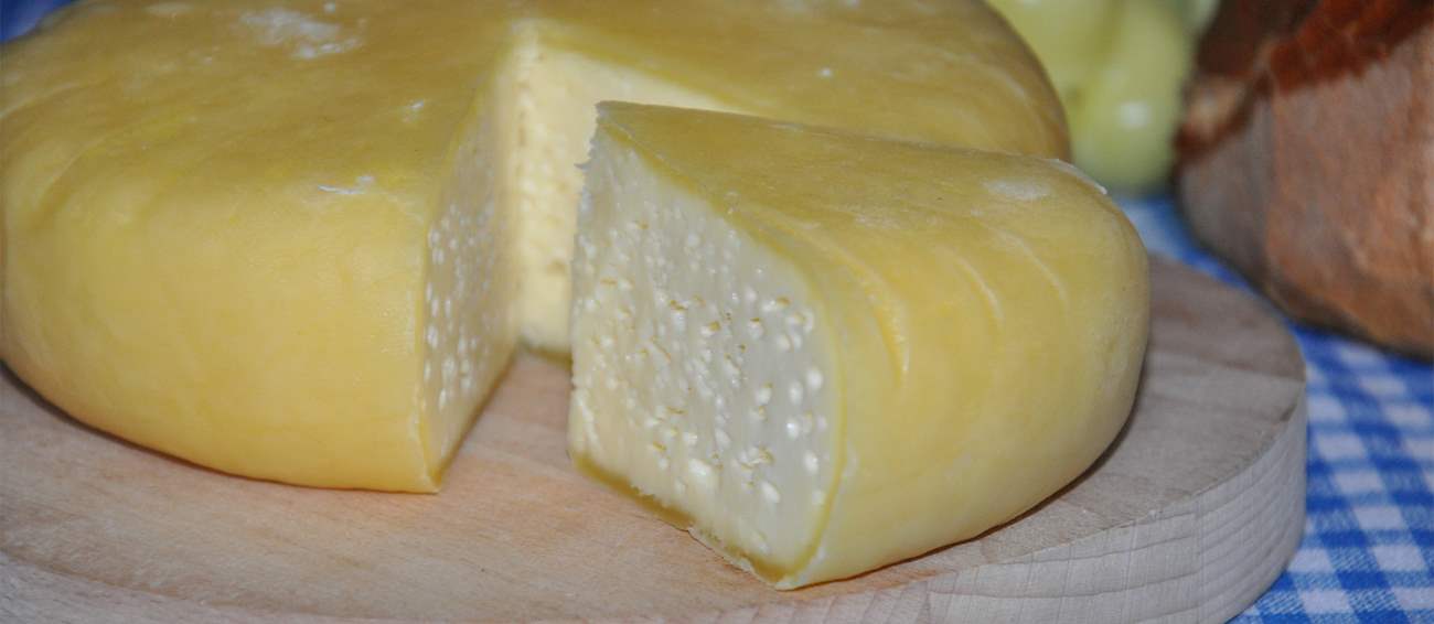 Djath Sharri | Local Cheese From Štrpce, Kosovo