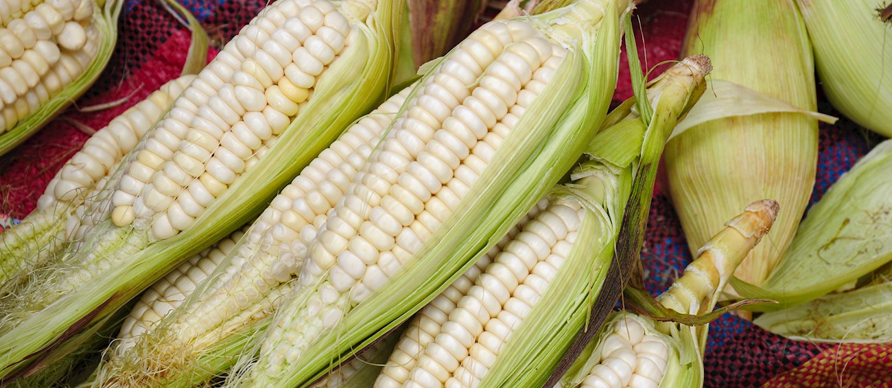 Choclo | Local Corn From Peru