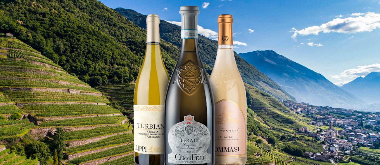 Turbiana | Local Wine Variety From Lombardy, Italy