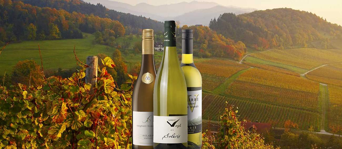 Solaris | Local Wine Variety From Black Forest, Germany