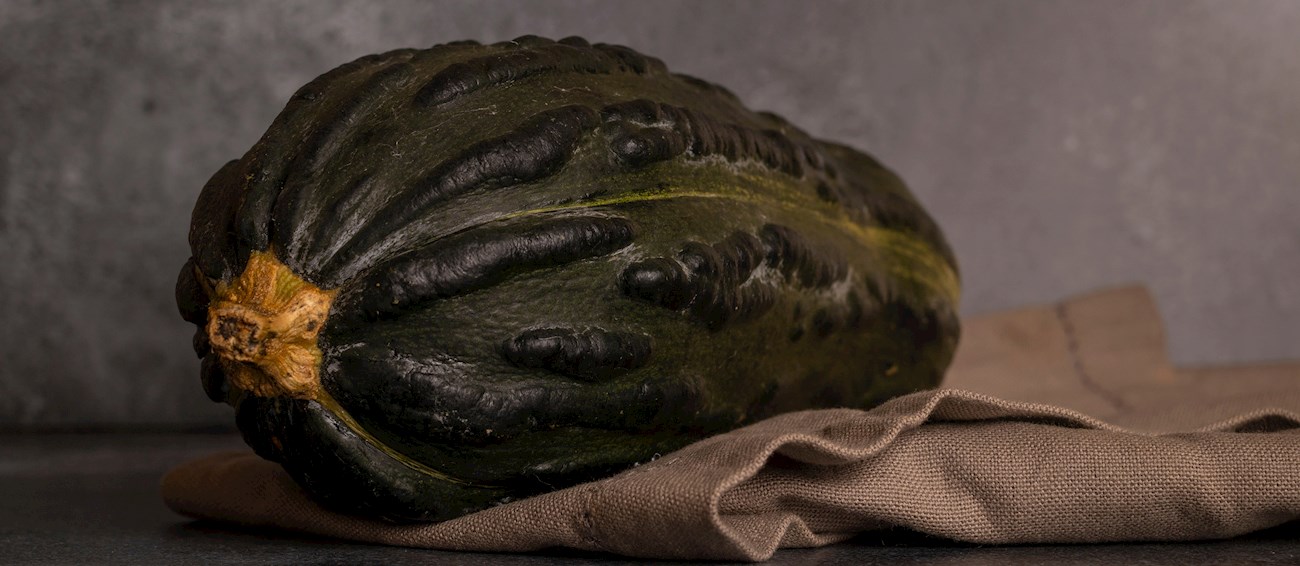 Loche de Lambayeque | Local Squash From Lambayeque, Peru