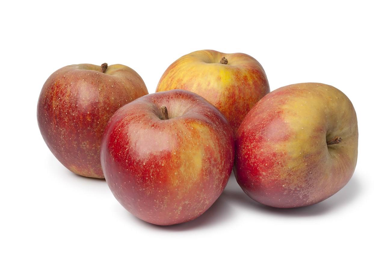 Belle de Boskoop Apples | Local Apple Variety From Boskoop, Netherlands