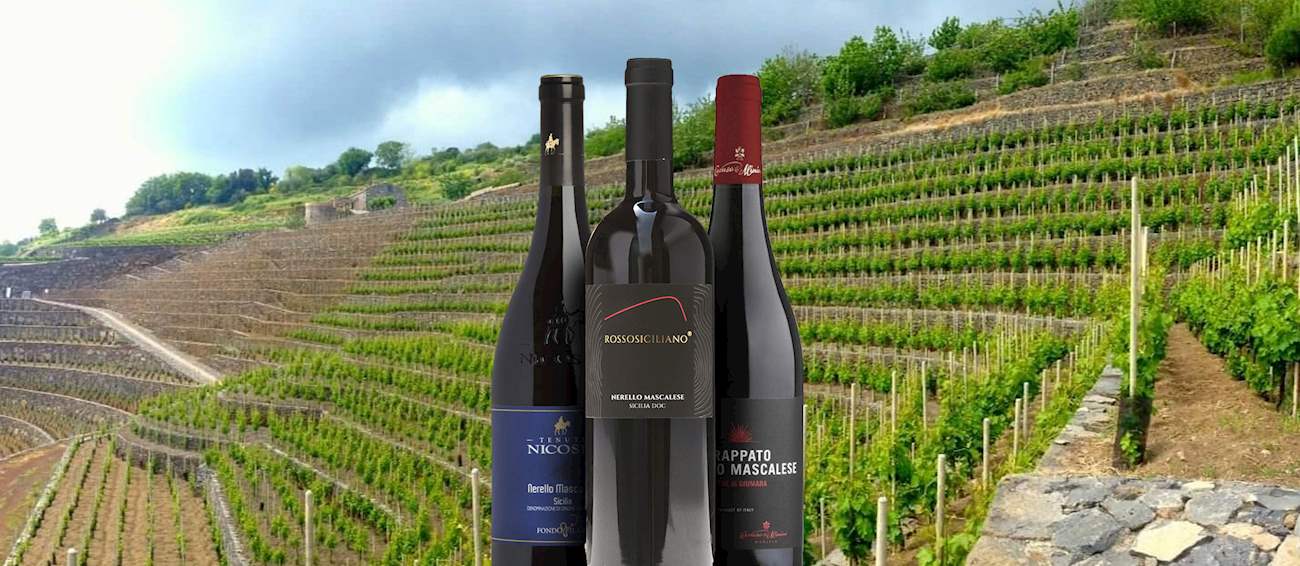 Nerello Mascalese | Local Wine Variety From Metropolitan City of ...