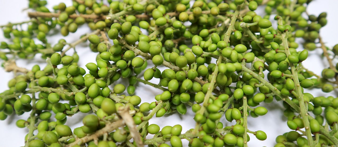 Andaliman | Local Spice From North Sumatra, Indonesia | TasteAtlas