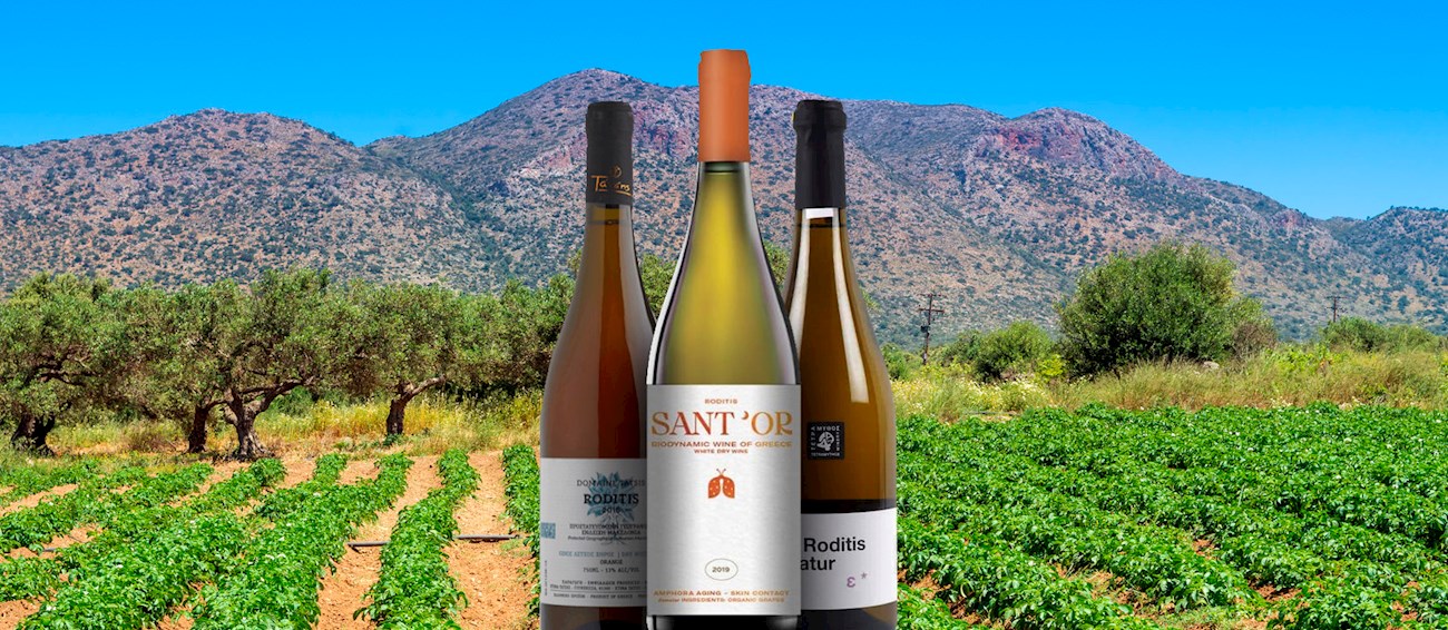 Roditis | Local Wine Variety From Greece, Southeastern Europe